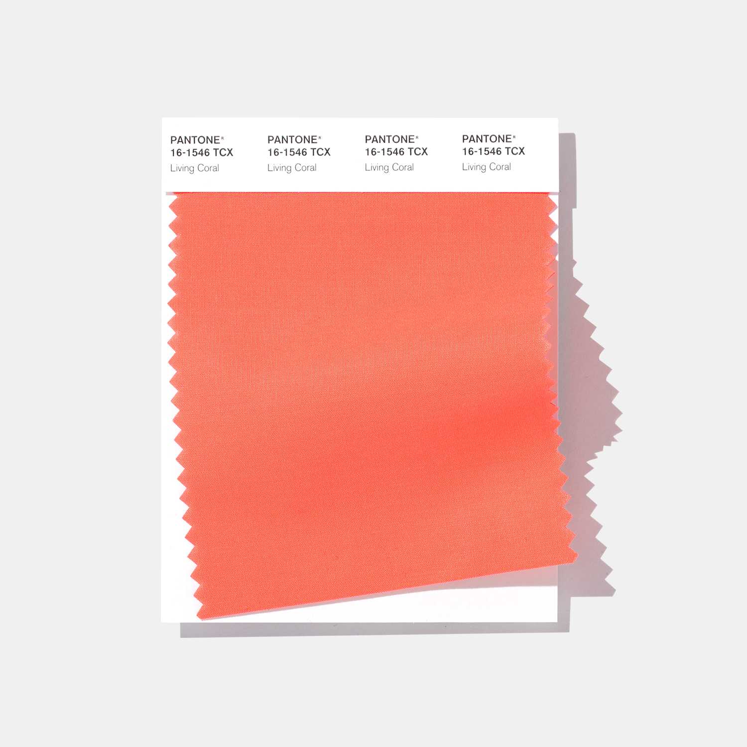 Pantone's 2019 Color of the Year is Here! - Kerrie Kelly